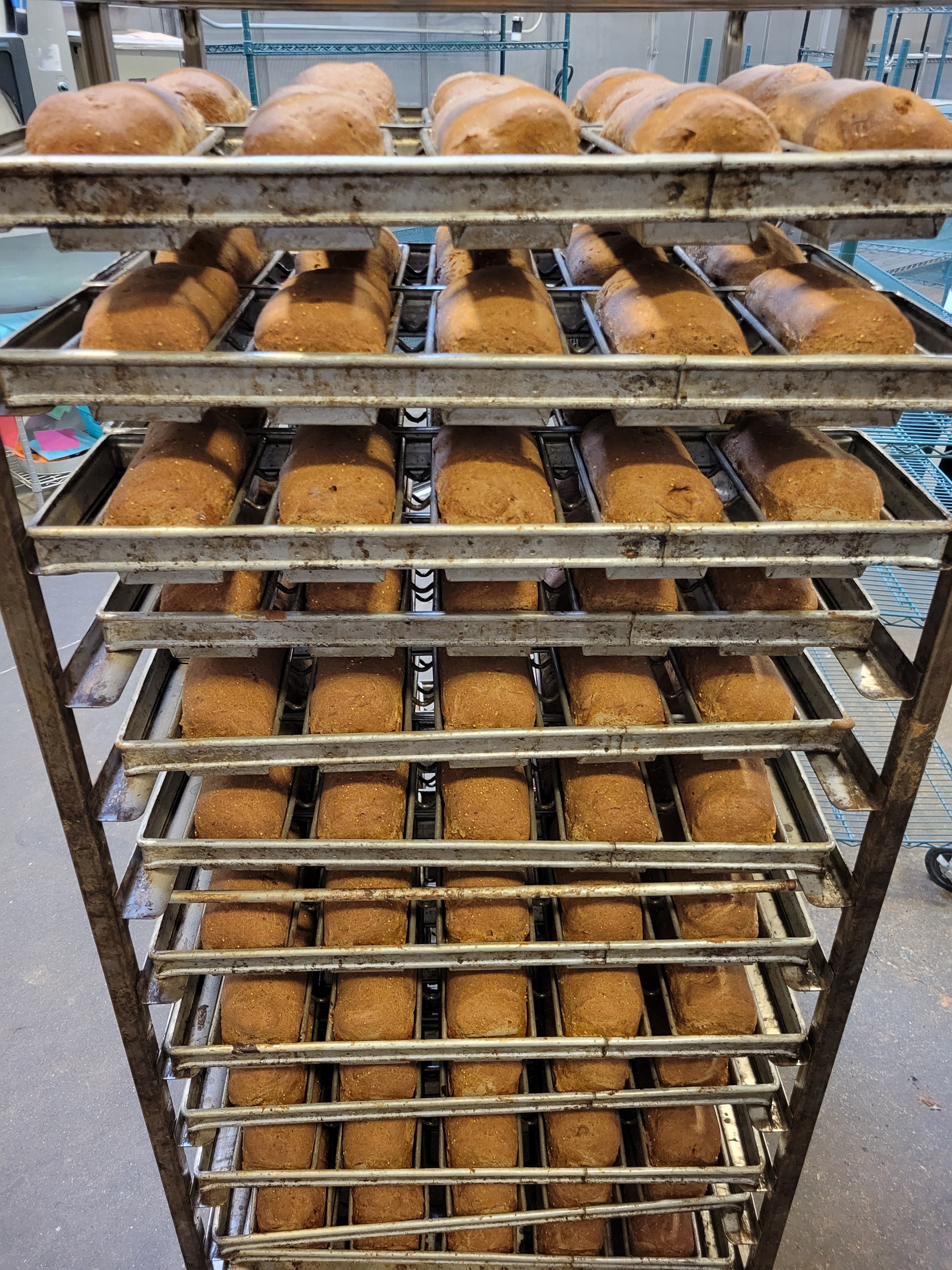 Bread and Shipping Quality Update! Organic Gluten Free Bread. – Happy ...